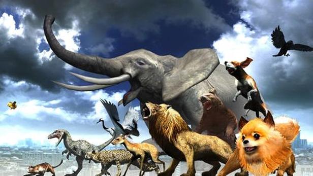Test : Tokyo Jungle, les animaux de l'apocalypse