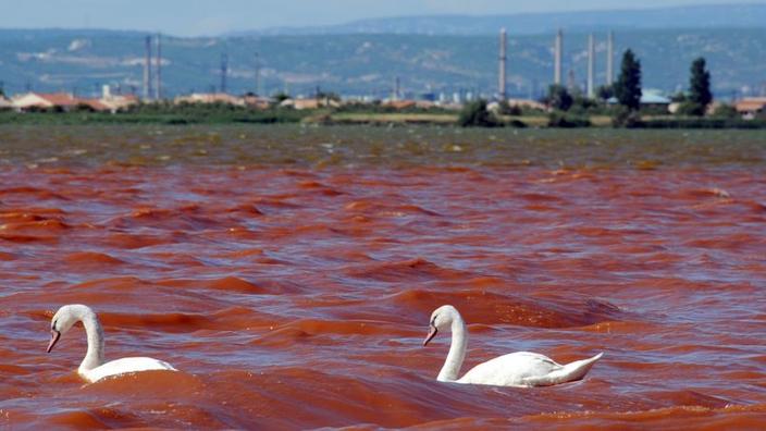 Eau douce et eau de mer sur la table de la conférence environnementale