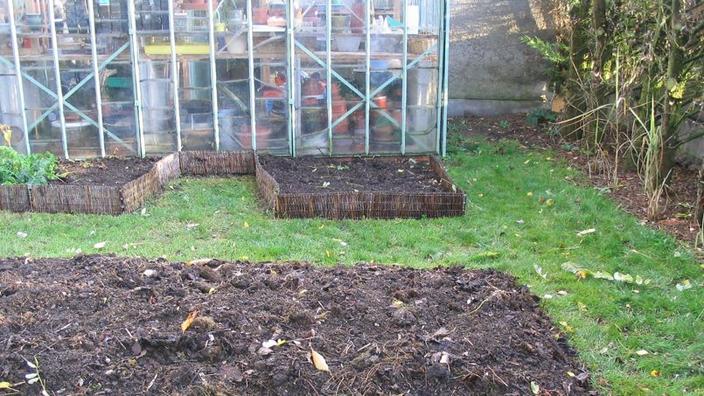 Potager : comment favoriser la vie dans mon sol