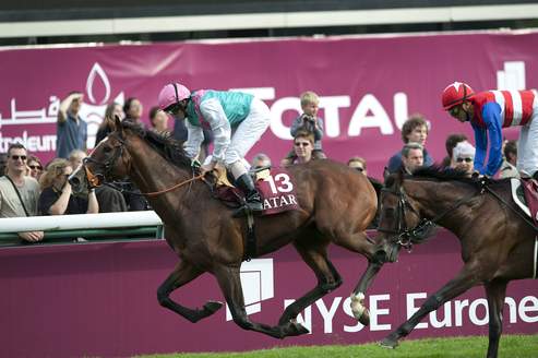 Le PMU va lancer un quotidien hippique