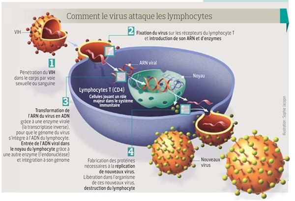 Sida, les nouveaux enjeux