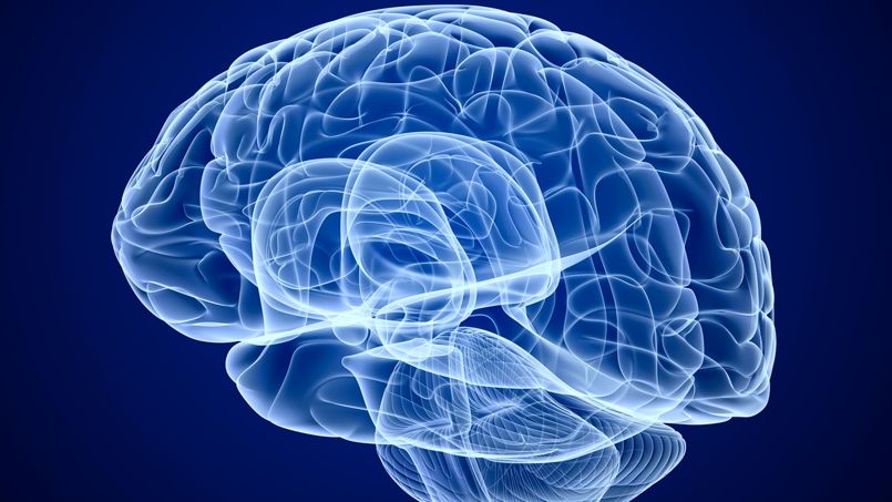 Lorsqu'il dort, notre cerveau ne prévoit plus l'avenir