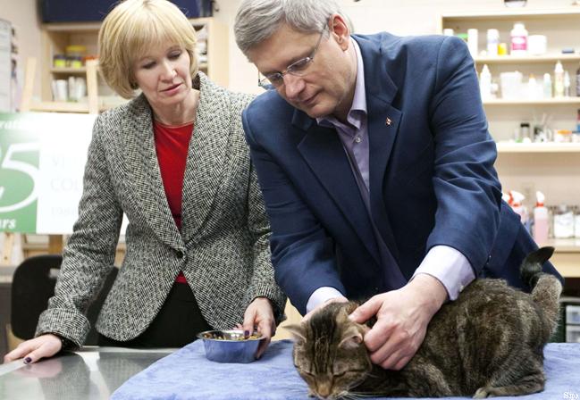 Stephen Harper cherche (le nom de) son chat