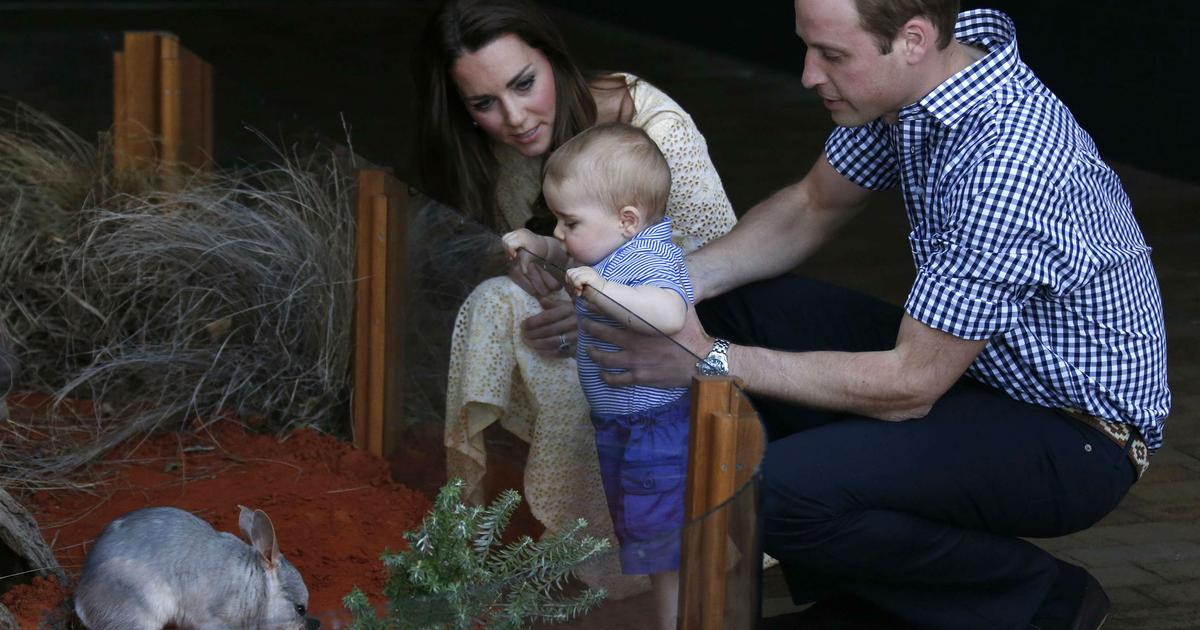 Photos – Le « lapin » de Pâques du Prince George
