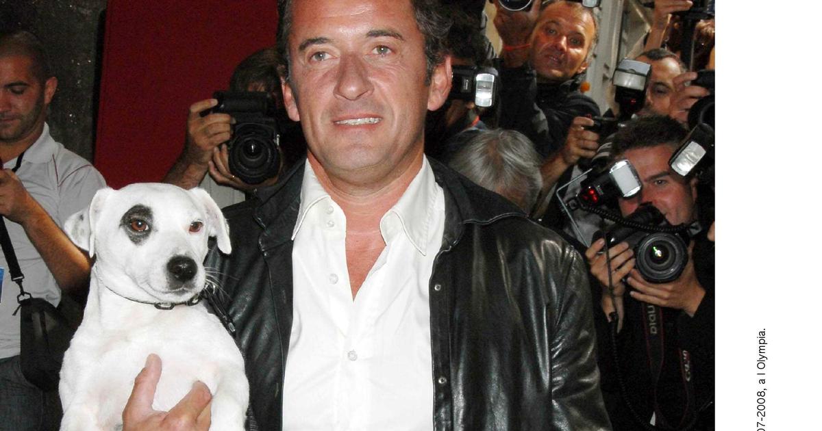 ADECK Le chien de Christophe Dechavanne