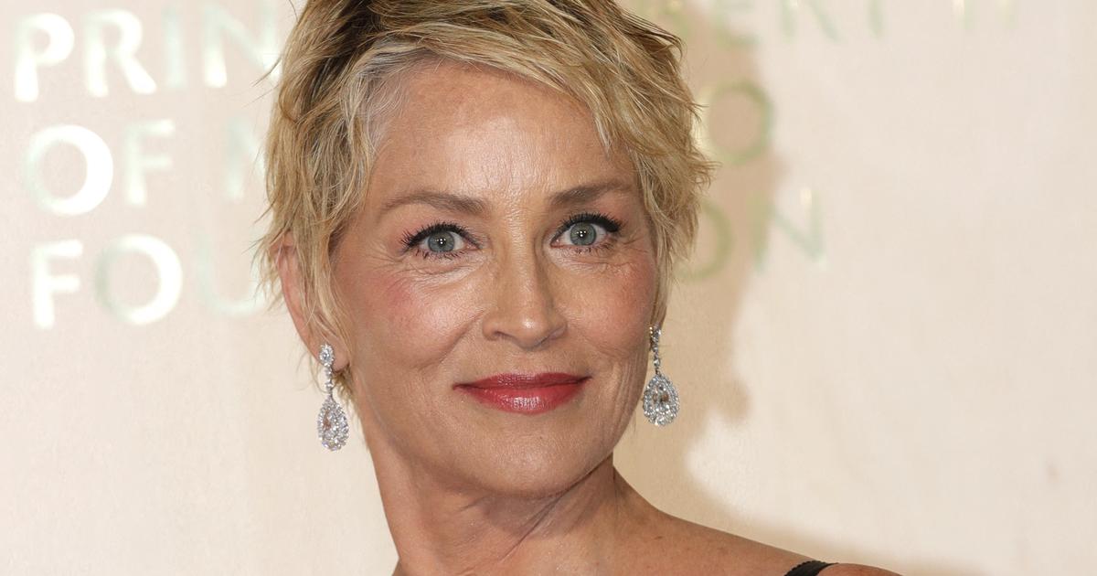 PHOTOS - Sharon Stone, son incroyable évolution de coupe de cheveux