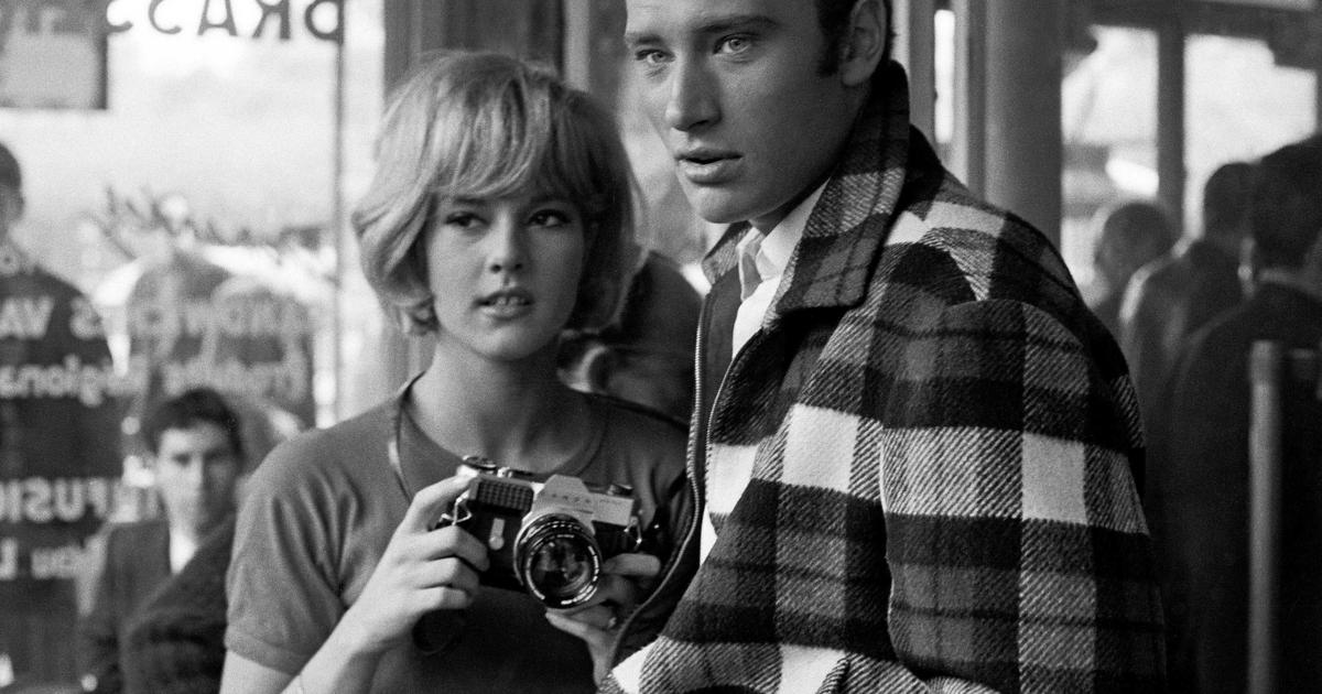 Photos : Johnny Hallyday et Sylvie Vartan, retour sur les 15 ans d'amour du couple emblématique ...