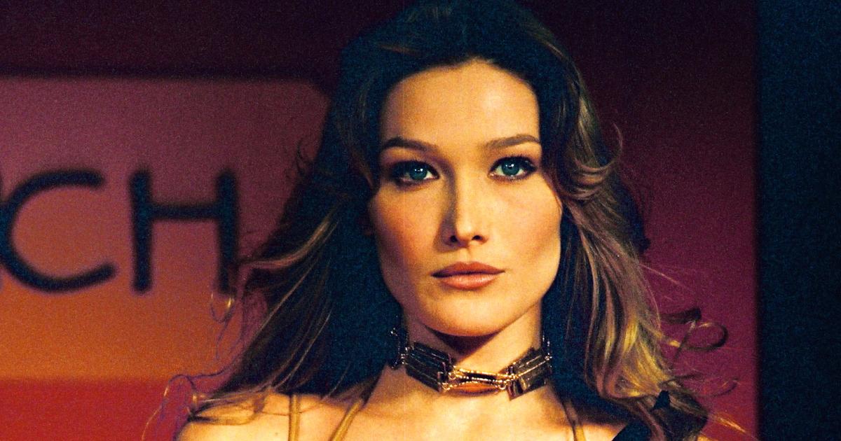 Carla Bruni-Sarkozy, vamp fatale : cet écrivain français à qui elle fit ...