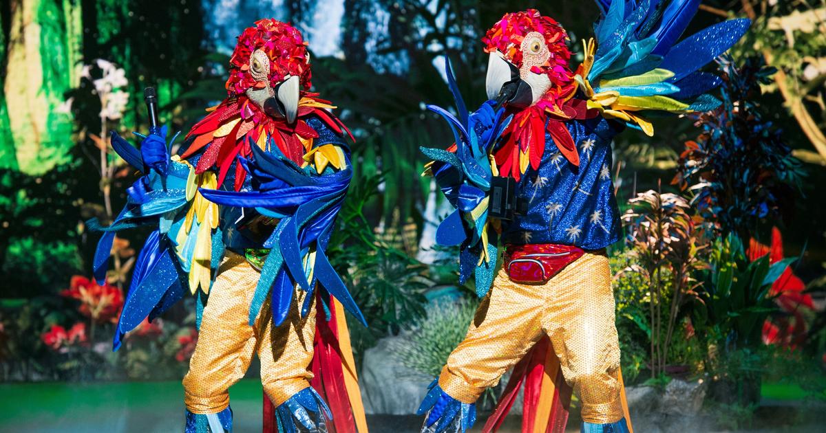 Mask Singer : découvrez qui sont les perroquets