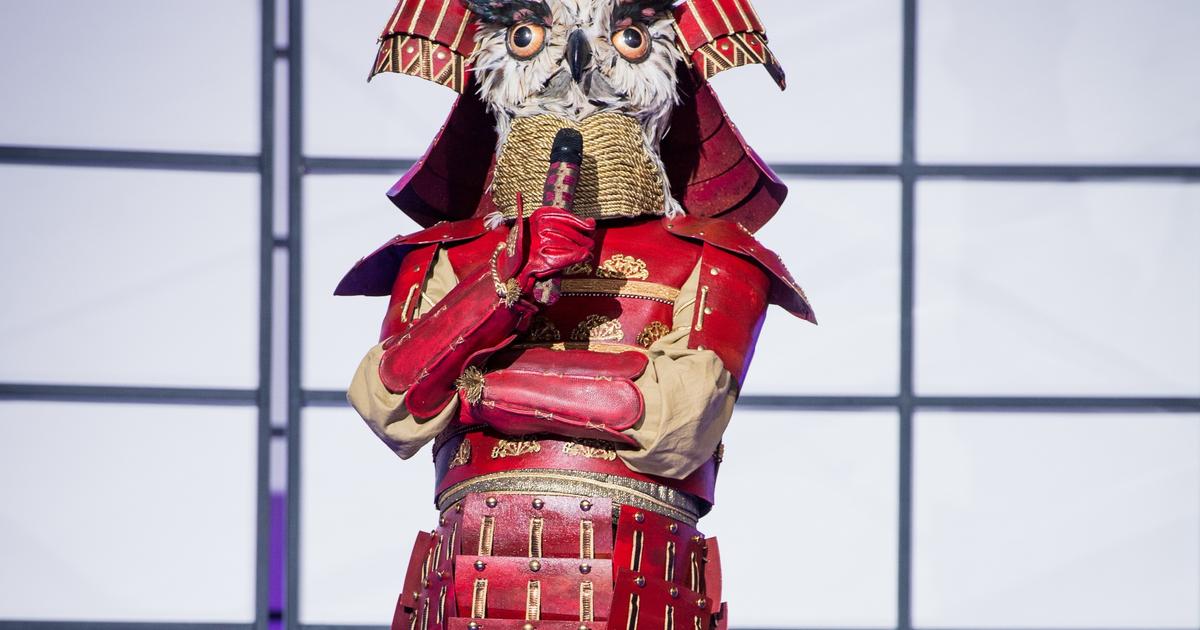 Mask Singer : qui est le hibou