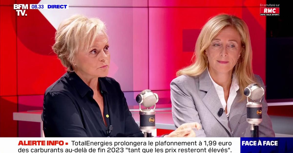 “Un moment d’horreur” : Muriel Robin, son cri du cœur chez Apolline de ...