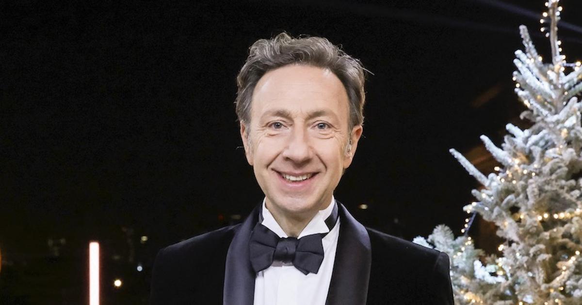 Stéphane Bern a refusé un poste au gouvernement : découvrez lequel
