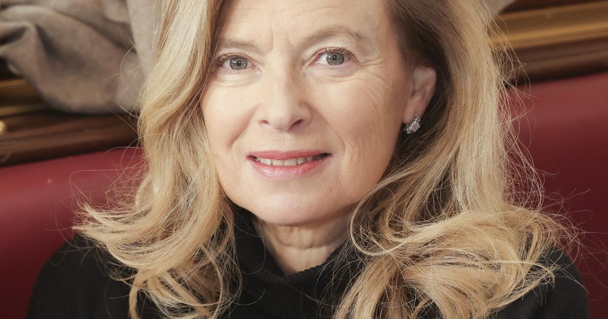 Valérie Trierweiler : que sait-on de ses trois fils Anatole, Lorrain et ...