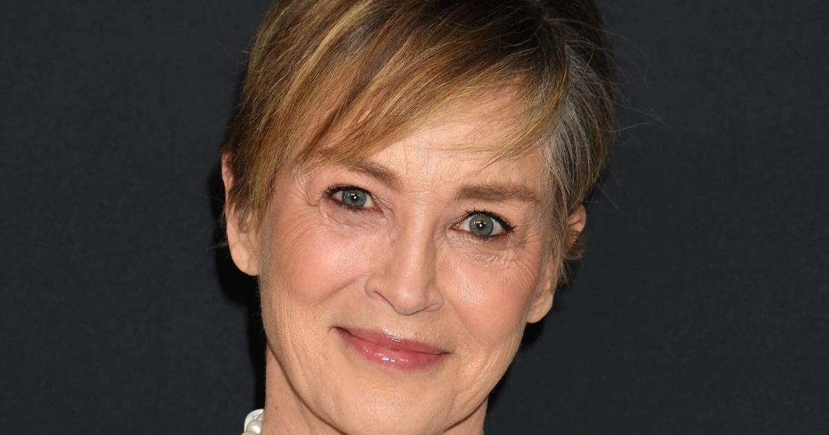 PHOTO – Sharon Stone, 66 ans : elle fait sensation avec une nouvelle ...