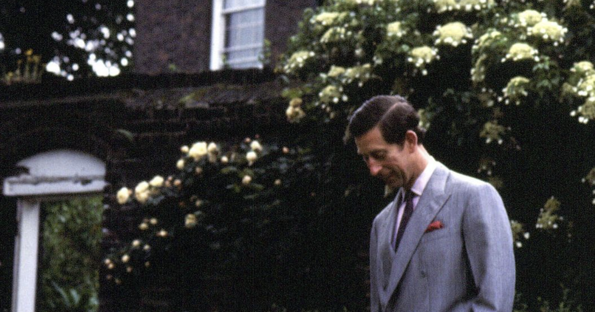 PHOTOS - Alain Delon, Bruce Willis, le prince William... Les stars ...