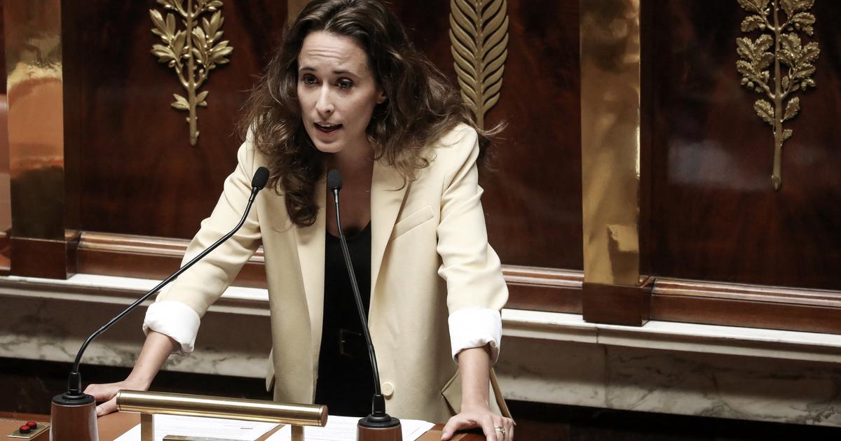 Clémence Guetté élue vice-présidente de l'Assemblée : famille, études ...