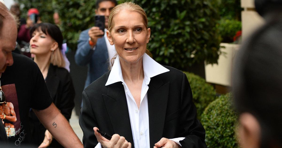 Céline Dion aux JO de Paris 2024 : découvrez le fabuleux jet privé avec ...