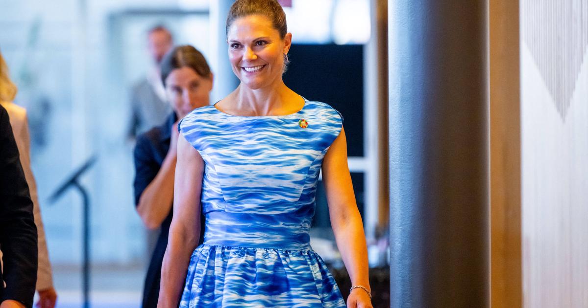 PHOTO – Victoria de Suède ose une robe au motif étonnant (mais dans le ...