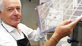 Maurizio Remmert : Biographie et actualités