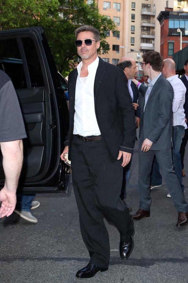 Brad Pitt la renaissance