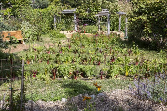 Alice Walters à Berkeley, la révolution délicieuse