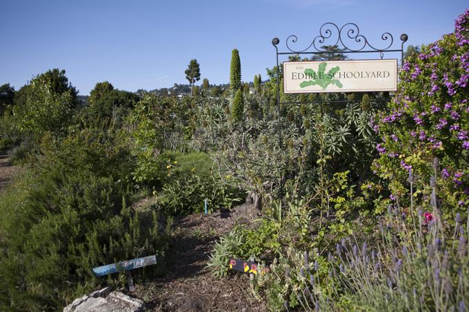 Alice Walters à Berkeley, la révolution délicieuse