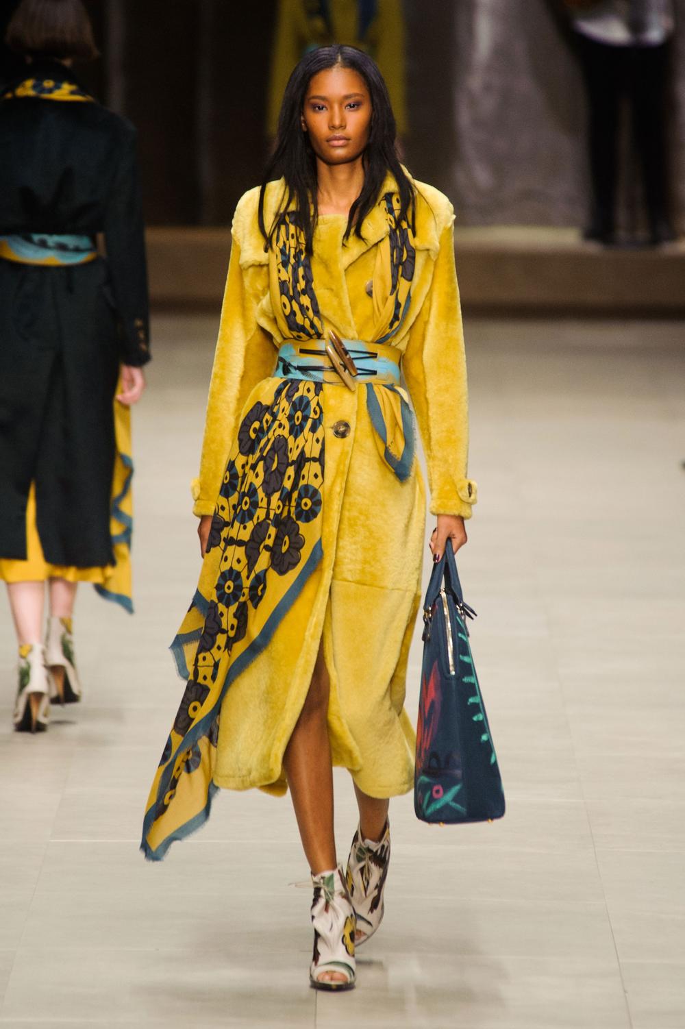 Défilé Burberry Automne-hiver 2014-2015 Prêt-à-porter