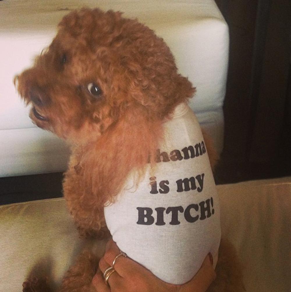 Marc Jacobs dédie un livre à son chien, star d'Instagram