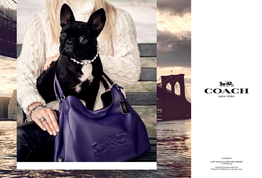 Marc Jacobs dédie un livre à son chien, star d'Instagram