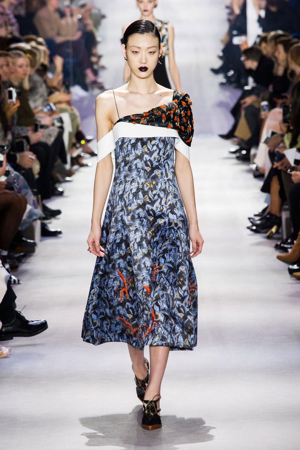 Défilé Christian Dior Automne-hiver 2016-2017 Prêt-à-porter