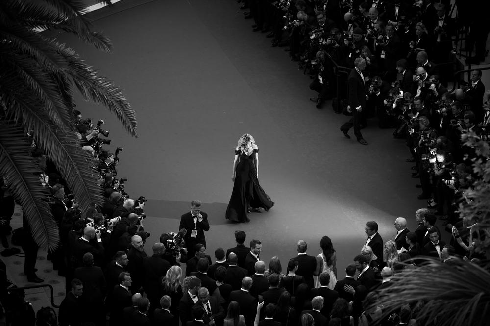 Les plus belles photos du Festival de Cannes 2016