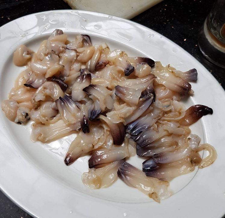 Le panope, l'étrange mollusque que les connaisseurs s'arrachent