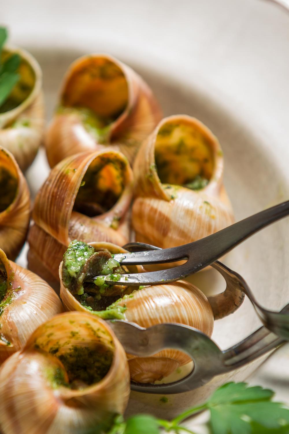 Foie gras, escargots, saumon : 15 recettes d'entrées chics pour le ...