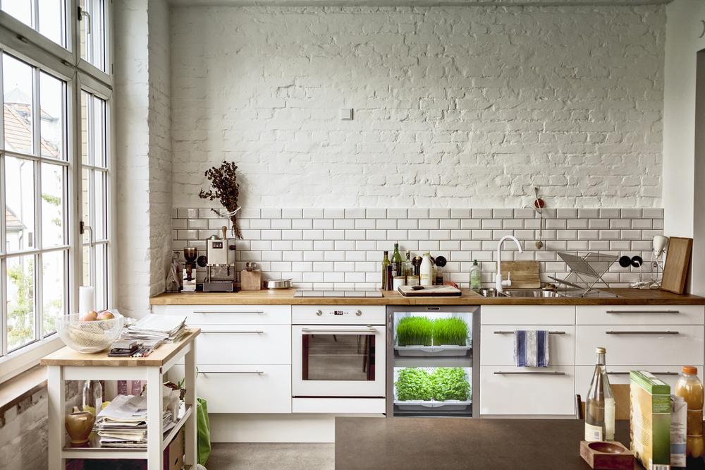 Créer un potager dans sa cuisine, le nouveau plaisir en ville