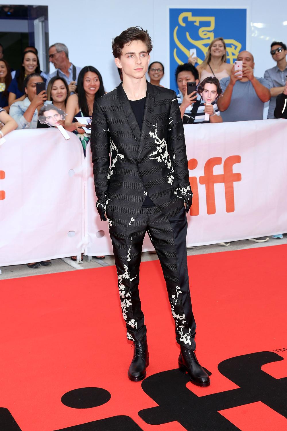 Timothée Chalamet, le petit prince des tapis rouges a encore frappé
