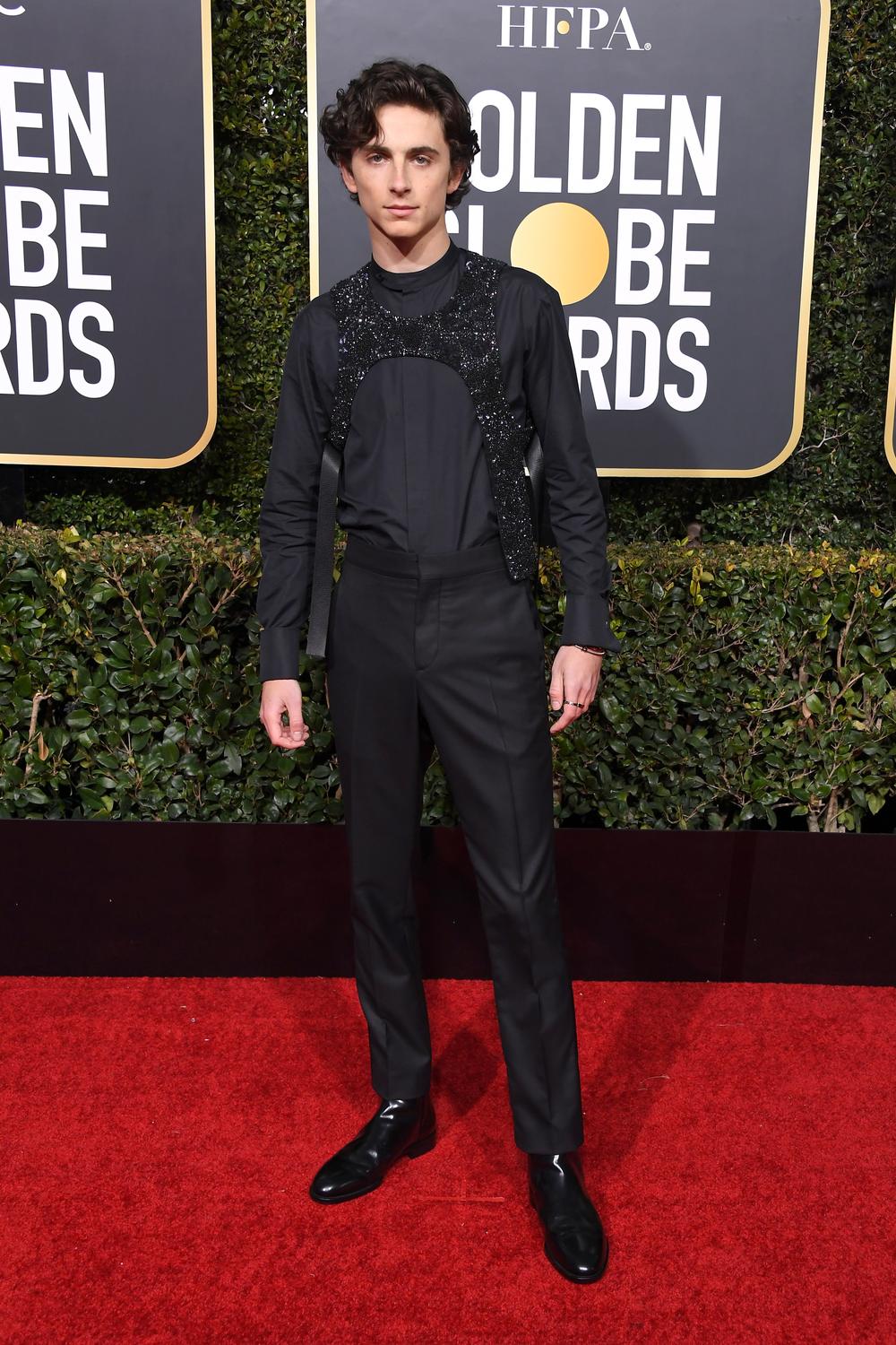 Timothée Chalamet, le petit prince des tapis rouges a encore frappé