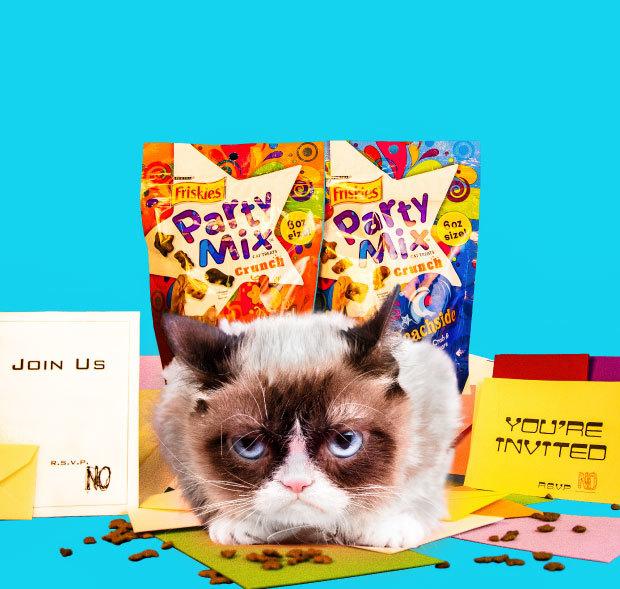 Grumpy Cat : les 10 choses qui le mettent de mauvais poil - Madame Figaro