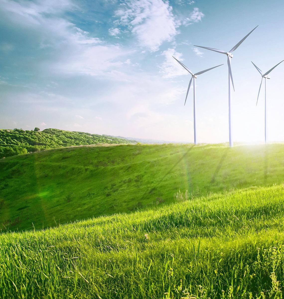 Fournisseur, opérateur, tarifs : comment passer à l'électricité verte ...