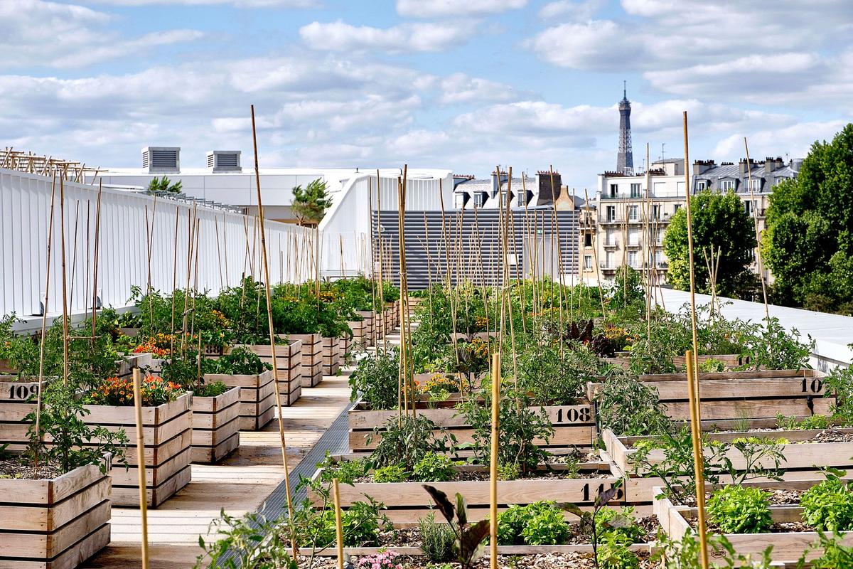 Ces femmes qui construisent des fermes high-tech sur les toits des ...