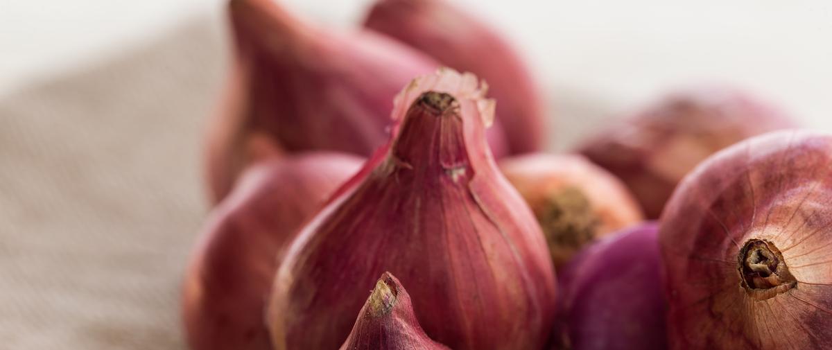 Recettes échalote - Cuisine / Madame Figaro