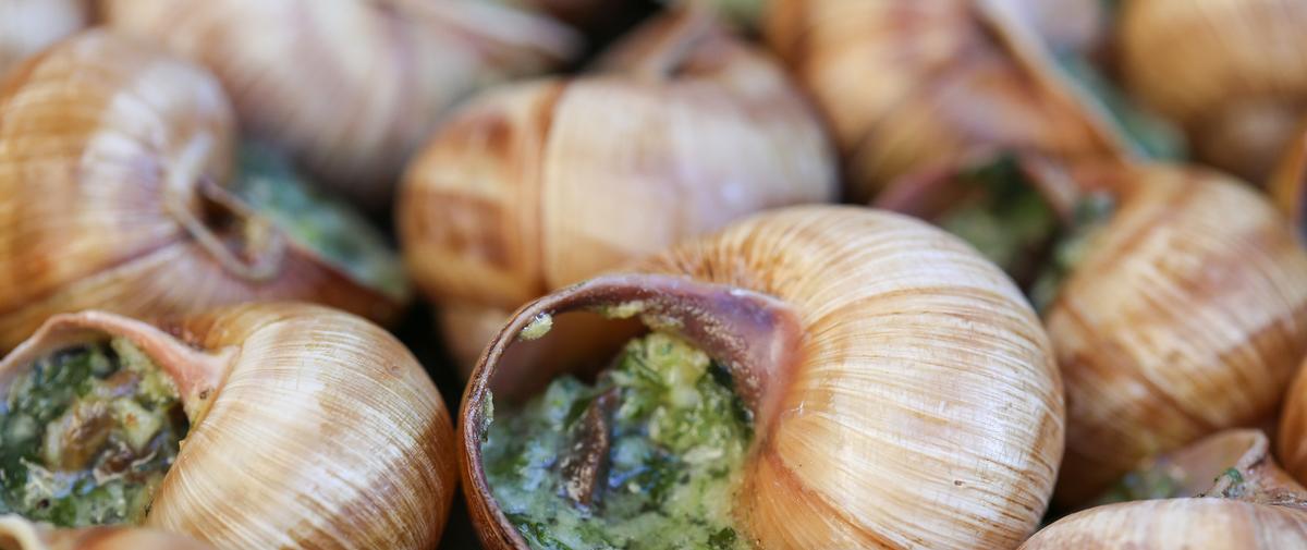 Recettes escargot - Cuisine / Madame Figaro