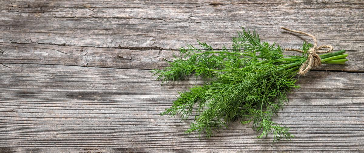 Recettes aneth - Cuisine / Madame Figaro