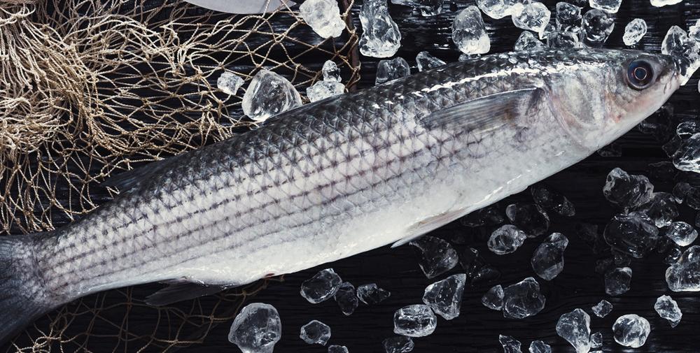 Cinq produits de la mer qui changent, à tester chez le poissonnier ...
