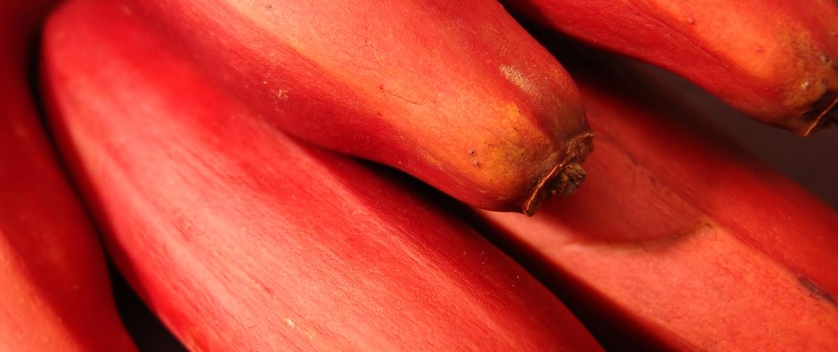 La couleur de ces fruits va vous étonner ! - Cuisine / Madame Figaro