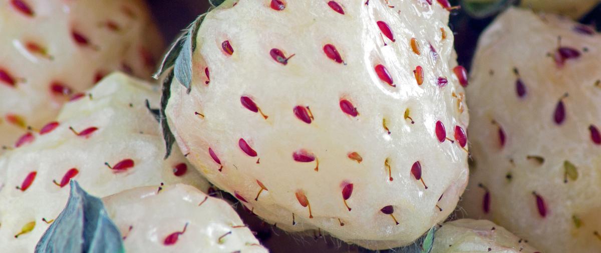 La couleur de ces fruits va vous étonner ! - Cuisine / Madame Figaro