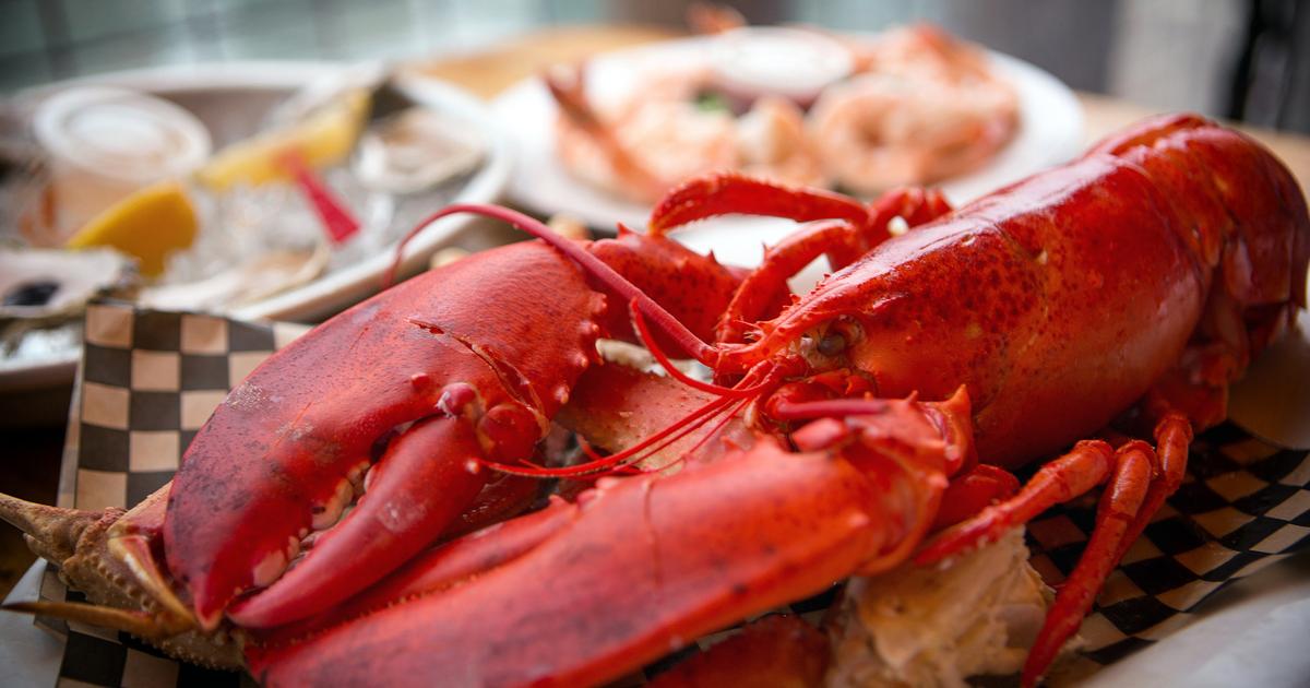 Ne plus confondre homard, langouste et langoustine