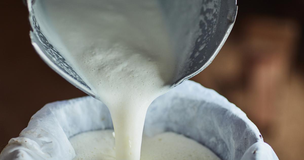 Tout savoir sur le lait cru, cet "or blanc" qui valorise nos terroirs