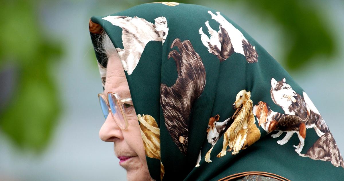 Chien royal : Elizabeth II nomme un de ses nouveaux chiots en hommage à ...