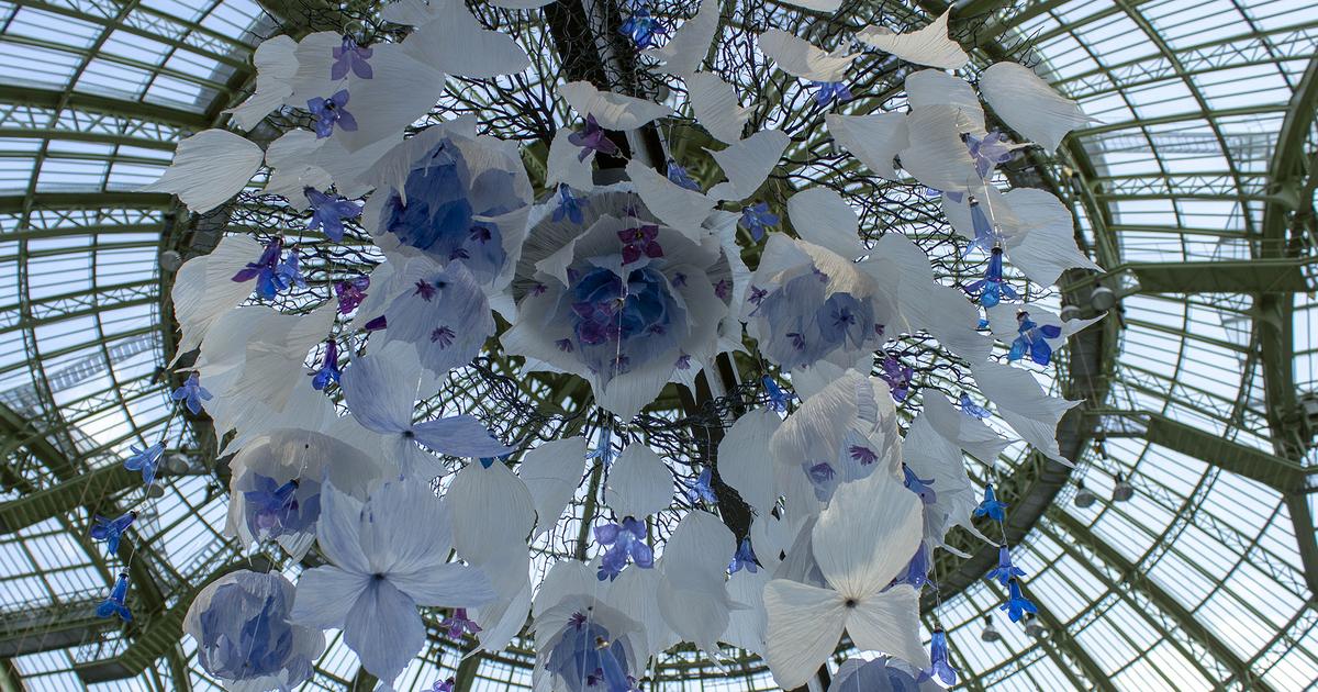 William Amor, l'artiste qui cisèle des fleurs extraordinaires à partir ...