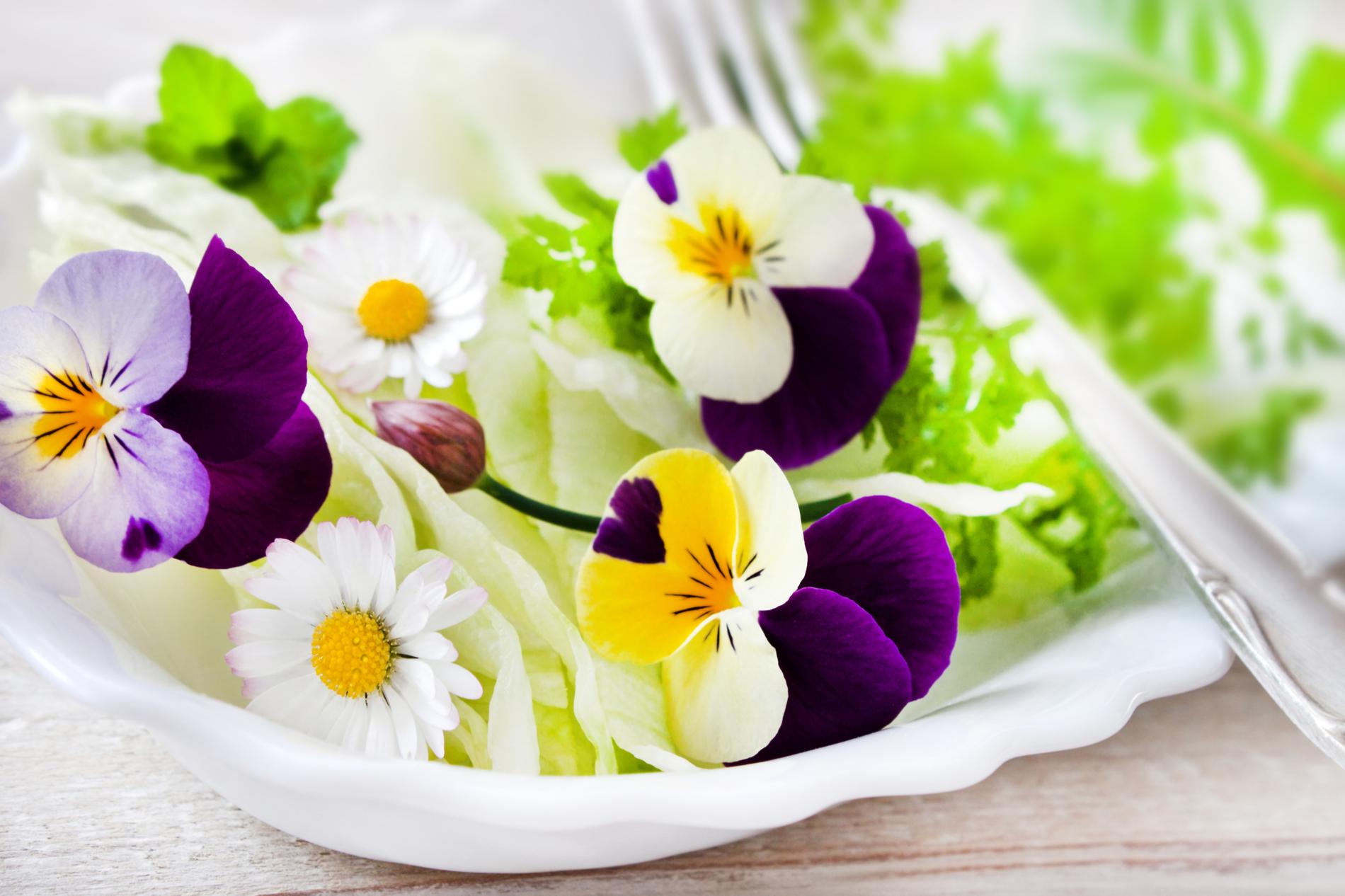 Recettes recettes à base de fleurs : Recettes faciles et rapides ...
